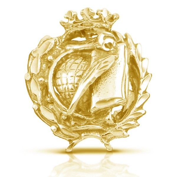 INSIGNIA MAGISTERIO - Insignias Profesionales