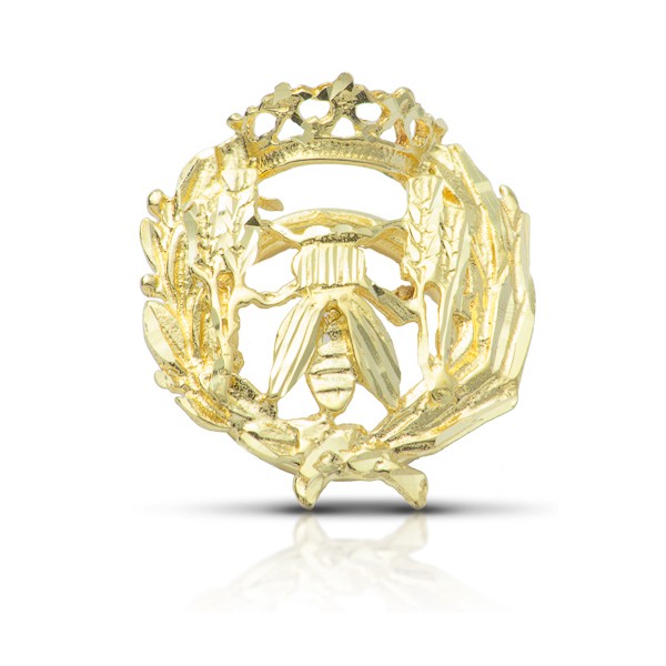 INSIGNIA ECONOMICAS - Insignias Profesionales