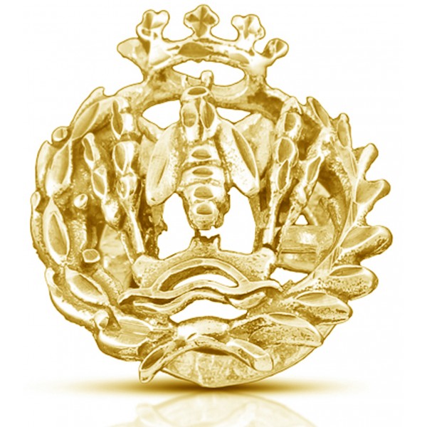 INSIGNIA ECONOMICAS - Insignias Profesionales